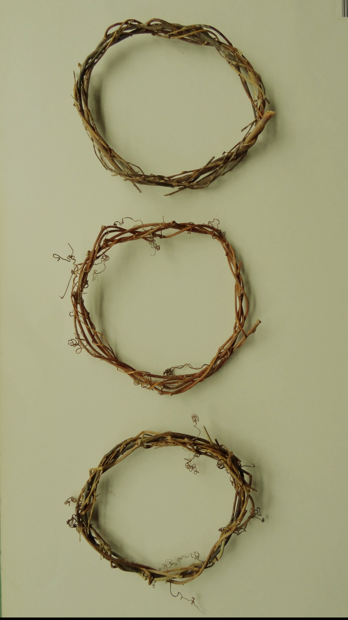 3 Crafts to Make with Vines – Emma Lammers